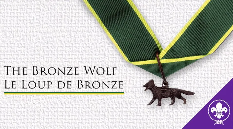 Bronze Wolf Awards | World Scout Foundation